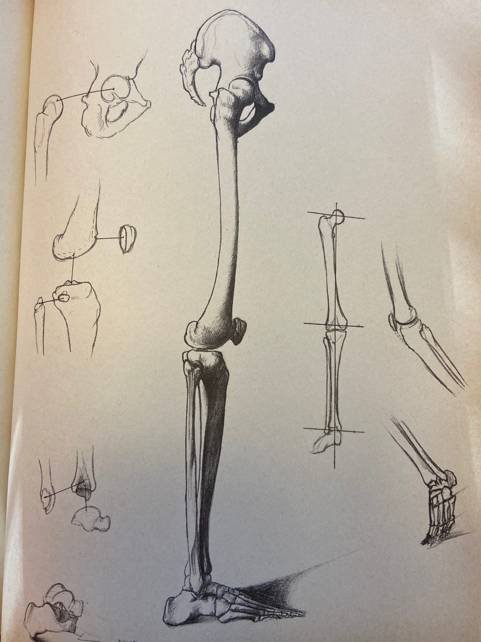 More about BF “Heel Rocks” – WholeMovement